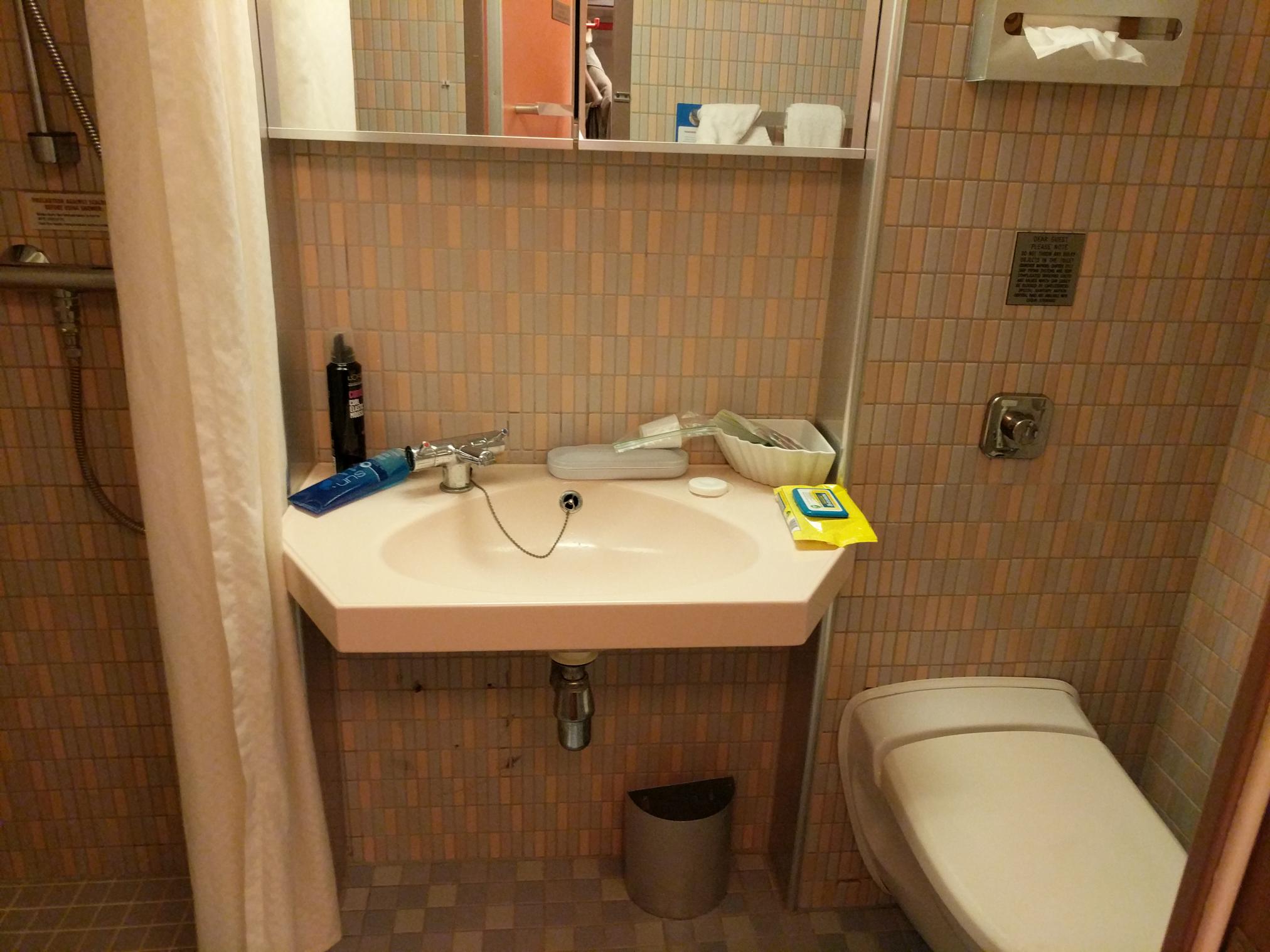Oceanview Stateroom, Cabin Category 6B, Carnival Paradise