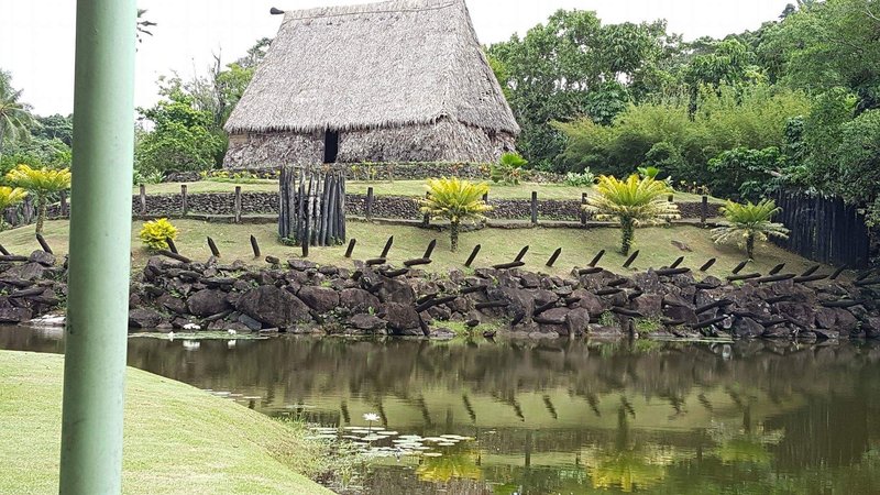Suva, Fiji Cruise Port - Cruiseline.com
