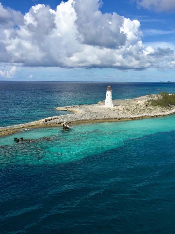 MSC Divina - Reviews and Photos