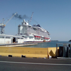 MSC Seaview Cruise Ship - Reviews and Photos - Cruiseline.com