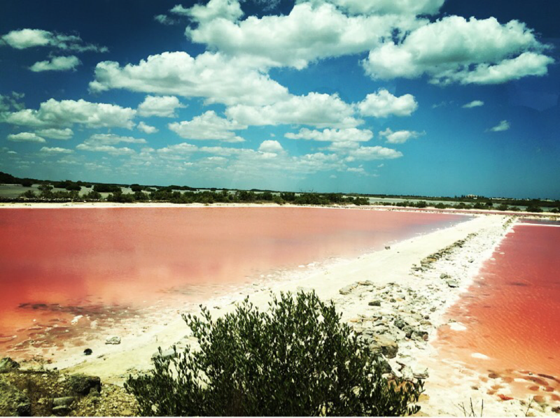 Progreso (Merida), Mexico Cruise Port - Cruiseline.com