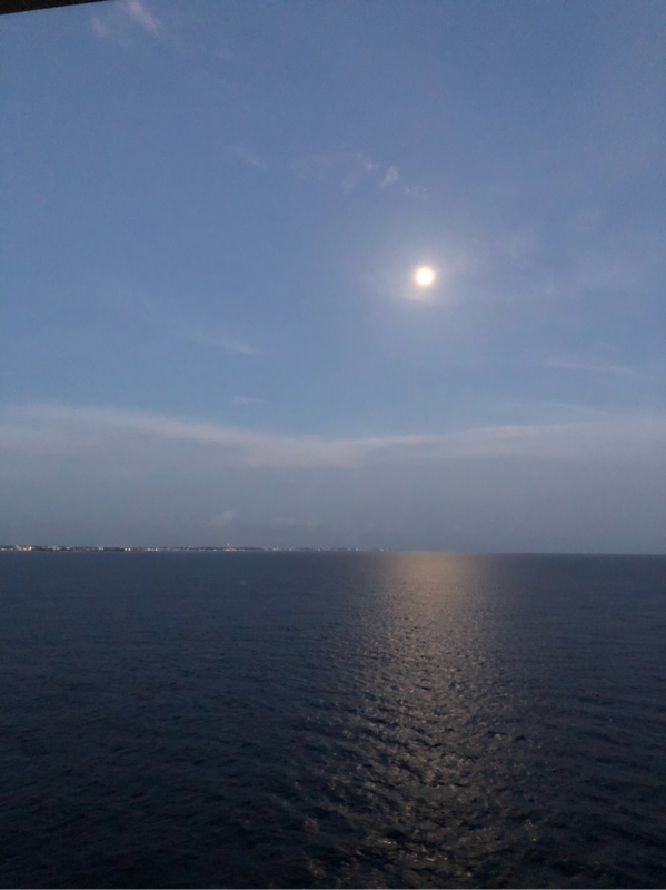 Ocean View Balcony, Cabin Category 2D, Harmony of the Seas