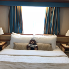 Suite L101 on Emerald Princess, Category WW