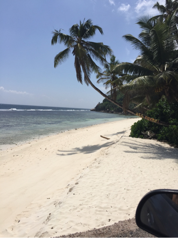 Costa neoRomantica - Reviews and Photos