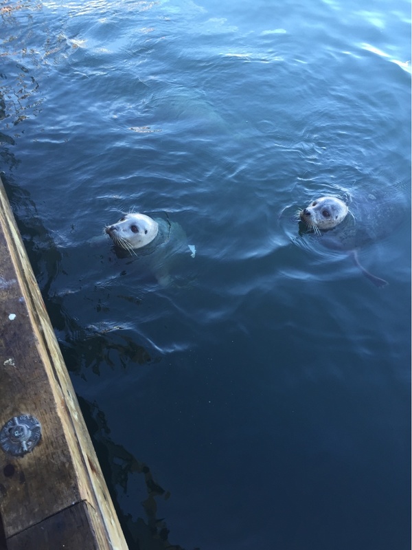 Victoria, British Columbia Cruise Port - Cruiseline.com