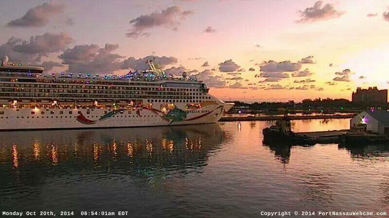 Norwegian Dawn - Reviews and Photos