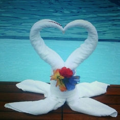 Carnival Conquest Features and Amenities - Cruiseline.com